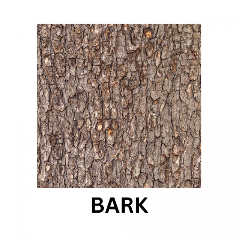 Printed Nature Primary Study Pod – Willowbrook Education